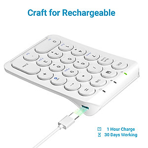 iClever Number Pad, KP08 Bluetooth Number Pad, Ultra Slim and Lightweight, USB-C Charge, Number Pad for Laptop, iPad, Mac, iMac, Tablet, PC Desktop