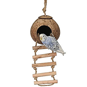 EastVita Coconut Bird Nest Hut with Ladder Hanging,Hanging Coconut Bird House Parrot Natural Coconut Shell Bird Nest Hideout House Playpen for Pet Parrot Budgies Parakeet Lovebird Finch Canary