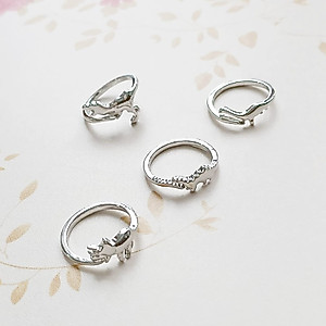 Vangelady 4 Pcs Dinosaur Rings Sets Jurassic Era Dinosaur Statement Ring Adjustable Knuckle Band Jewelry for Women Men Girls, Silver C