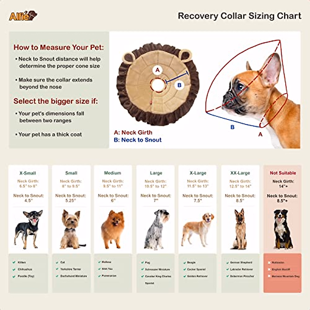 Alfie Pet - Noah Recovery Collar (for Dogs and Cats) - Pattern: Lion, Size: XS