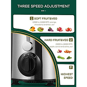 Juicer Machines, HOUSNAT Juicer Whole Fruit and Vegetables with 3-Speed Setting, Upgraded Version 400 W Motor Quick Juicing, Cleaning Brush and Juicing Recipe Included