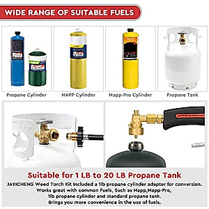 Propane Torch Weed Burner Kit,Weed Torch 800,000 BTU Blow Torch with 1lb Propane Cylinder Converter,9.8 FT Hose Heavy Duty Flamethrower with Turbo Trigger for Flame Weeding,Roofing, Melting Ice Snow