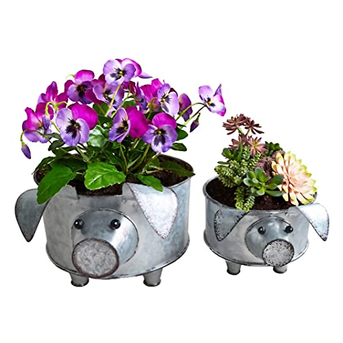 ShabbyDecor Galvanized Metal Pig Bowl Farmhouse Pig Succulent Planter Set of 2