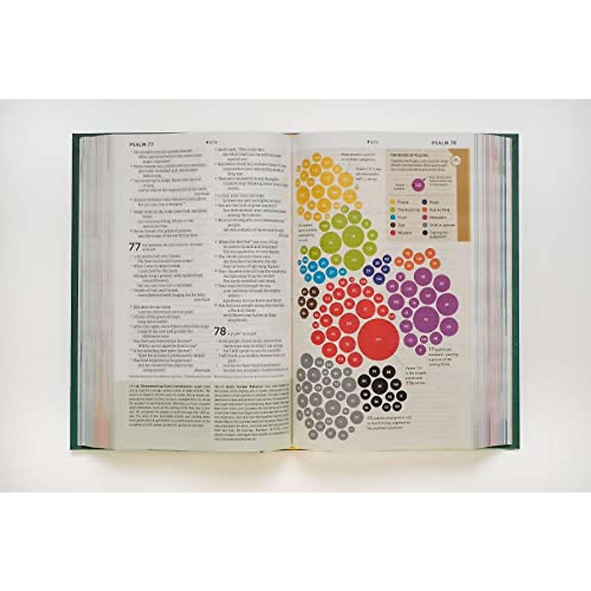 NLT Student Life Application Study Bible, Filament Enabled (Hardcover, Red Letter)