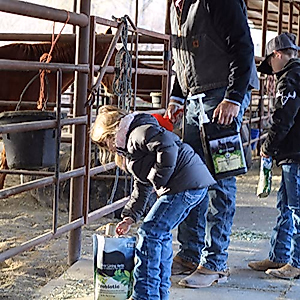 Silver Lining Herbs Horse Probiotic - Micro Encapsulated Probiotics for Equine Digestive Support and a Healthy Gut - Natural Source of Beneficial Bacteria and Enzymes - 7 lb Bag