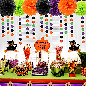 Black-Purple Orange Green Halloween Party-Decorations - 30pcs Tissue Pom Poms Streamers,Tassel Garland Banner,Birthday Wedding Baby Bridal Shower Decor Bunting Supplies Lasting Surprise