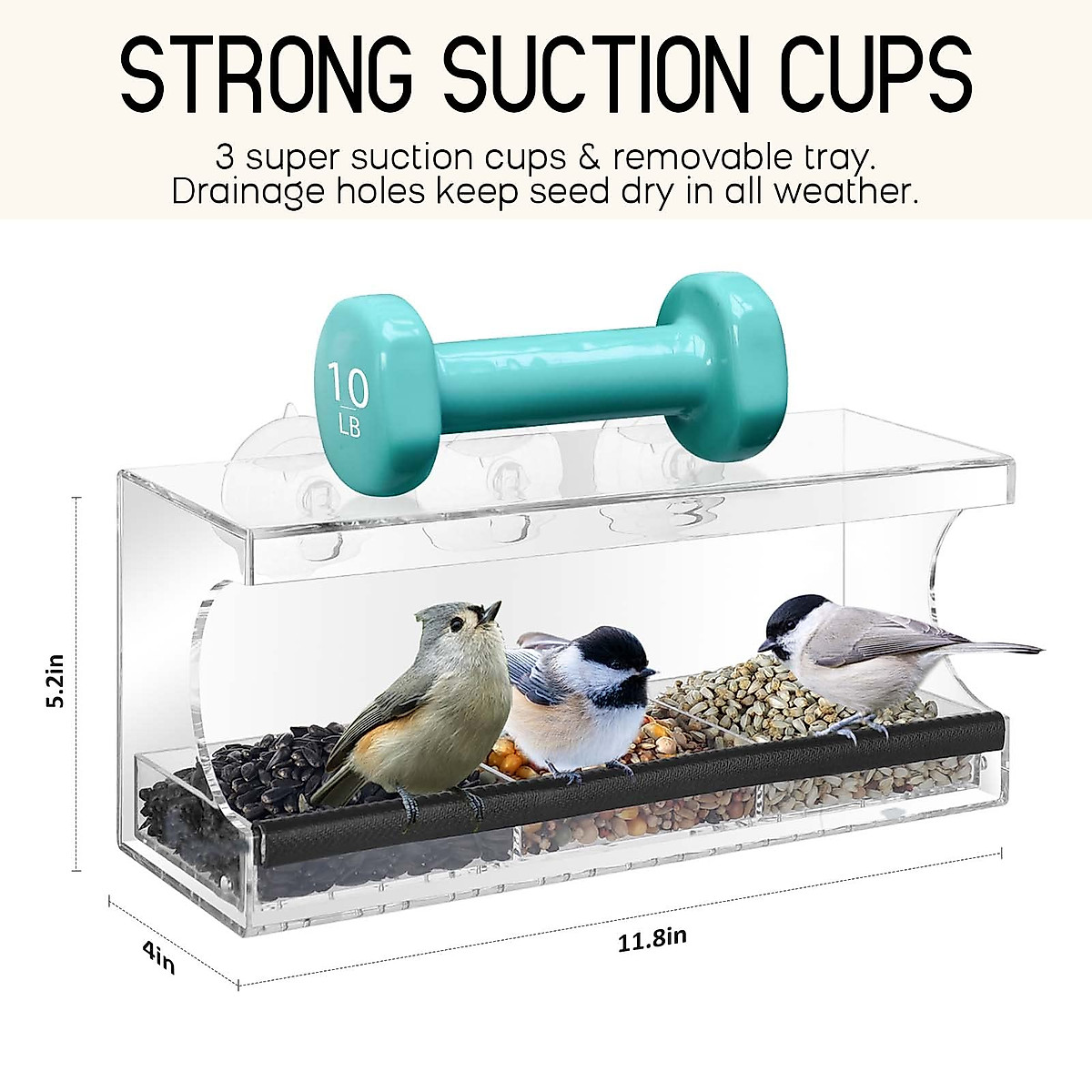 MrCrafts Window Bird Feeder for Outside with Strong Suction Cups, Fits for Cardinals, Finches, Chickadees etc