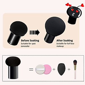 Mushroom Head Air Cushion CC Cream,BB Cream,Foundation Full Coverage Foundation, Moisturizing CC Foundation Concealer Makeup, Long Lasting Matte Cushion Foundation （Natural）
