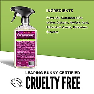 Aunt Fannie’s Houseplant & Garden Insect Remedy, Indoor and Outdoor Plant Insect Killer (3-Pack)