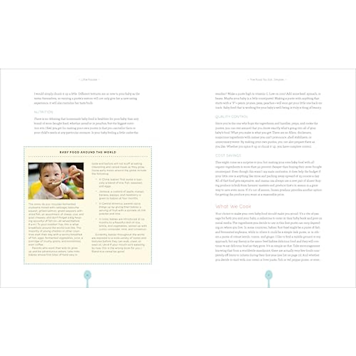 Little Foodie: Baby Food Recipes for Babies and Toddlers with Taste