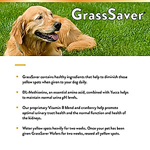NaturVet GrassSaver| Wafers for Dogs – Help Keep Grass Green, Rid Your Lawn of Yellow Patches Caused by Dog Urine| No More Yellow Spots| DL-Methionine & Enzymes – 300 Ct