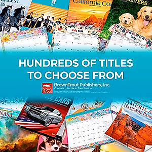 Yoga Dogs OFFICIAL | 2023 12 x 24 Inch Monthly Square Wall Calendar | BrownTrout | Animals Humor Pets