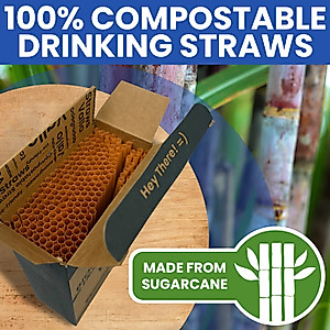 Vallo Compostable Drinking Straws - 100% Biodegradable, Recyclable, Non-Soggy, Suitable for Hot and Cold Drinks, Eco-friendly Sugarcane Material, NOT Paper, 8" Standard Size - 100 Count