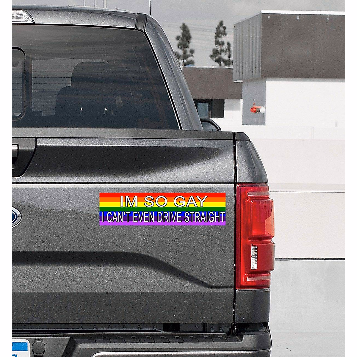 38 PCS The Original Funny Gay LGBT Prank Bumper Stickers [Updated] Extra Large for Cars, Trucks and Luggage I Am So Gay I Can't Even Drive Straight Sticker Variety Pack
