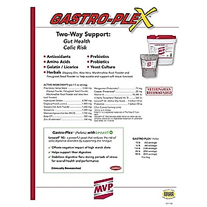 Gastro-Plex (3 lb) Supports Gut Health and Hindgut Digestion in Horses