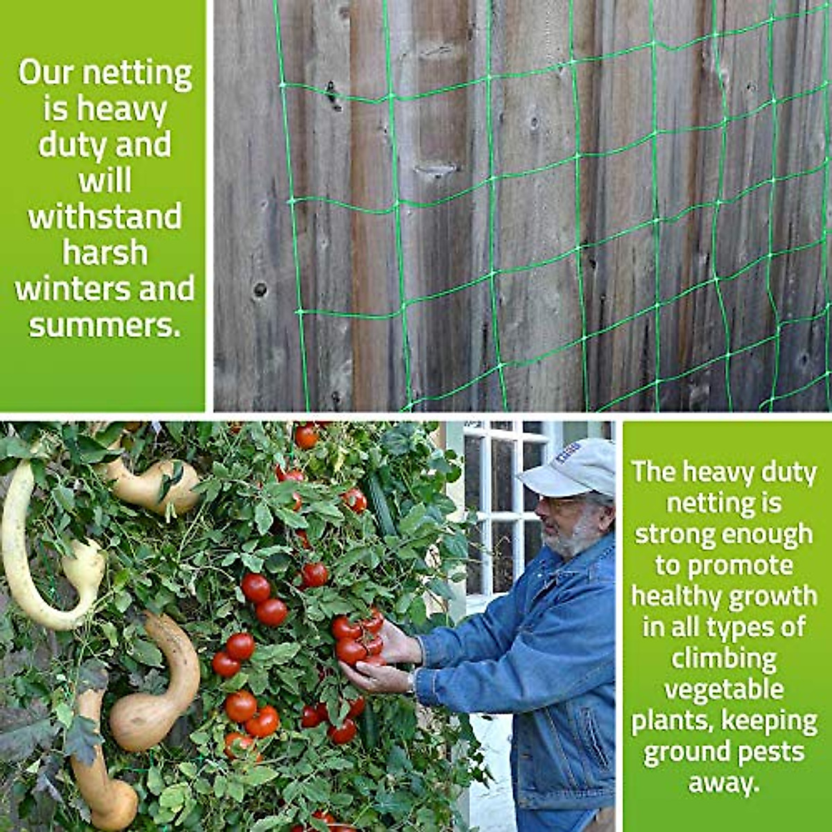 De-Bird: Trellis Netting for Climbing Garden Plants, Grow Garden Flowers, Green Pea and Vine Plants