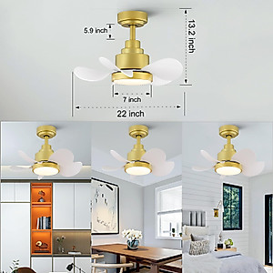 Ceiling Fan With Lights and Remote,Large Airflow 22inch Quiet Reversible Noiseless DC Motor 5 Blades Ceiling Fans for Indoor Bedroom Living Room Room Patio(White Gold)