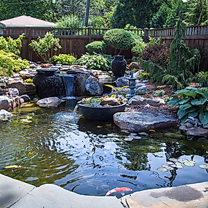 Aquascape 29312 Granular Algaecide for Pond, Waterfall, and Stream EcoBlast, 2.4 Pounds, White