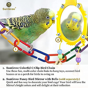 SunGrow Rainbow C-Clips Plastic Chain Links, Bird Swing & Climbing Chain Cage Toy Clips & Hooks, DIY Kids Learning Toys for Classroom, Suitable for Sugar Glider, Rat, Parrot, Bird (200 Pcs)