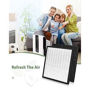 Future Way 2 Set HSP001 Filter Replacement Compatible with HSP001 Smart True HEPA Air Purifier, H13 True HEPA and Activated Carbon Filter