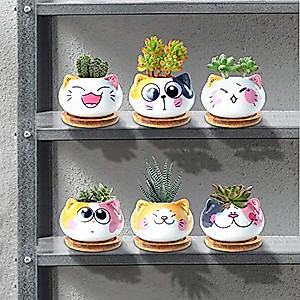 YINUOWEI Succulent Pots with Drainage 3.6 Inch Mini Cat Pots for Plants Tiny Animal Planter Small Ceramic Air Plant Flower Pots Cactus Faux Planters Containers with Bamboo Tray