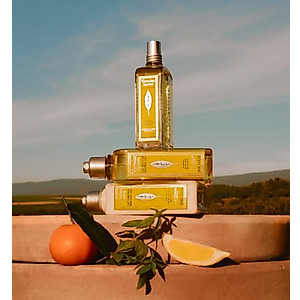 L’OCCITANE Fresh Conditioner, 8.4 Fl Oz