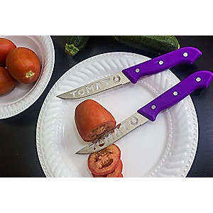 Brandobay Stainless Steel Tomato Slicer Knives Set – 10-inch long including handle – 2-Pack Set of Tomato Cutters – Colors (Blue, Red, Green)