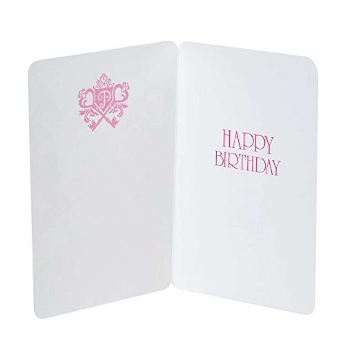 Hallmark 13" Large Gift Bag with Birthday Card and Tissue Paper (Disney Princesses)