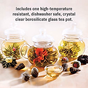 Numi Organic Flowering Tea Gift Set, 6 Handsewn Tea Blossoms & 16-Ounce Glass Teapot, Blooming Tea Flowers
