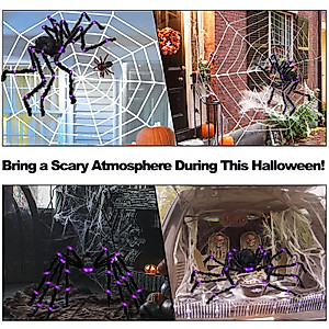 Spider Halloween Decorations Outdoor - 5ft Giant Halloween Spider with Purple Lights and 9ft Spider Wed for Outside Cary Halloween Yard Haunted House Decorations Indoor