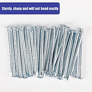 Coceca 200 Pack Hardware Nails for Hanging Pictures, 4 Size Zinc Tiny Nail Assorted Kit, Picture Nail, Small Nails, Finishing Nail, Wall Nails and Galvanized Nails for Wood