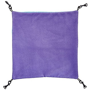 MidWest Homes for Pets Ferret Nation Large Hammock for Ferret Nation & Critter Nation Small Animal Cages | Measures 17L x 13W x 8H- inches,Purple/Teal