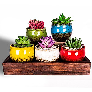 ARTKETTY Succulent Pots - 4 Inch Ceramic Succulent Planters with Drainage Tray Set of 6, Small Cactus Pots for Indoor Plants Colorful Flower Plant Pots for Desk Windowsill