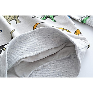 Toddler Sweatshirts Dinosaur Shirts Clothes for Boys Long Sleeve Cartoon Space Pullover Tops for Kids grey-8011 110/4T
