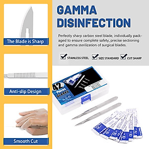Glarks 42Pcs Surgical Grade Blade with Handle Kit, 40Pcs #10#11#12#15 Disposable Surgical Blade Sterile Scalpel Blade with 2Pcs #3 Scalpel Knife Handle for Biology Lab Anatomy, Practicing Cutting