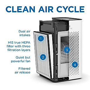 Medify Air MA-25 Air Purifier with H13 True HEPA Filter | 500 sq ft Coverage | for Allergens, Wildfire Smoke, Dust, Odors, Pollen, Pet Dander | Quiet 99.7% Removal to 0.1 Microns | Black, 2-Pack