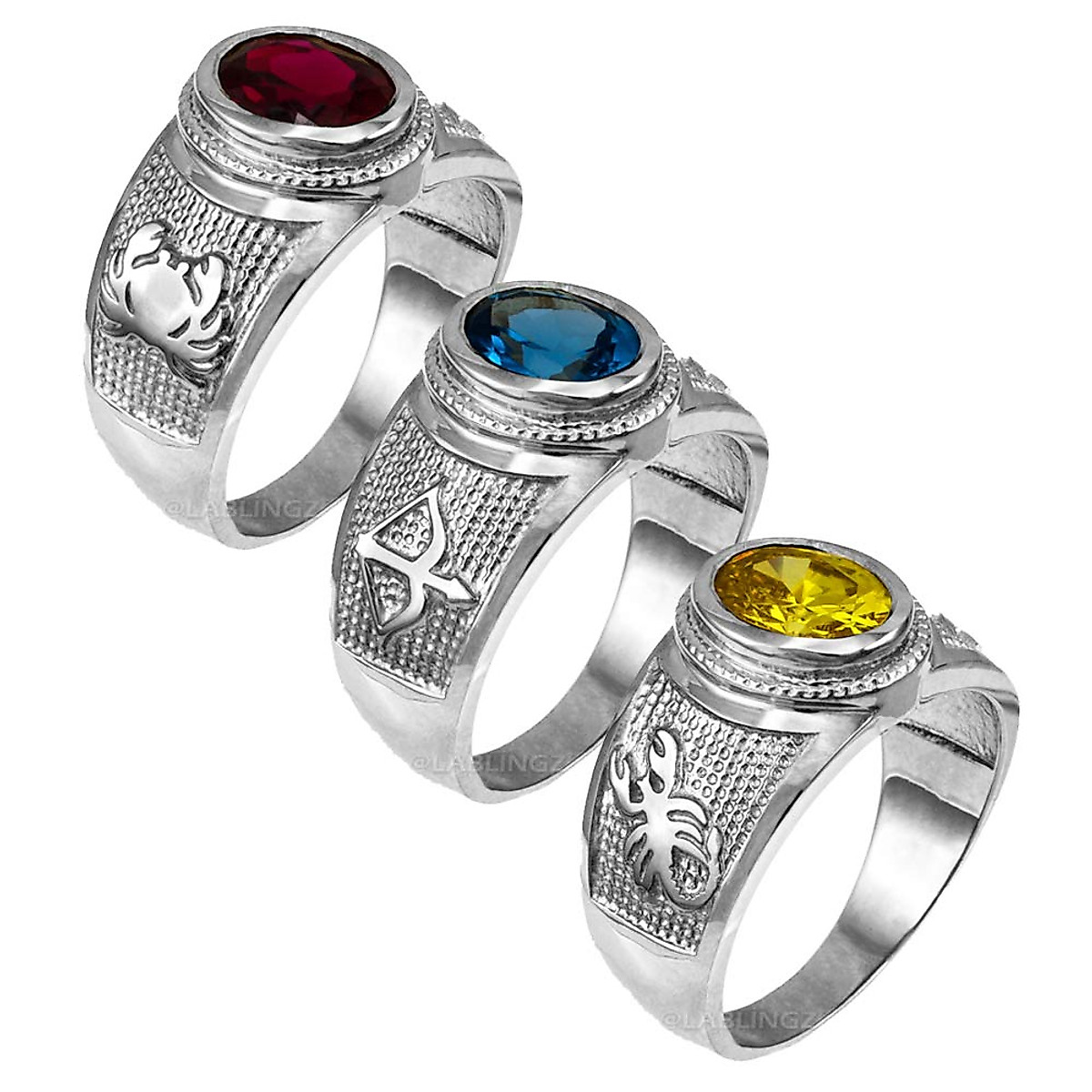 Zodiac Sign Birthstone CZ Ring in Sterling Silver (Capricorn, Size 9.5)
