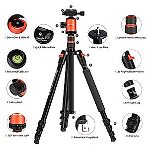 GEEKOTO 77’’ Tripod, Camera Tripod for DSLR, Compact Aluminum Tripod with 360 Degree Ball Head and 8kgs Load for Travel and Work
