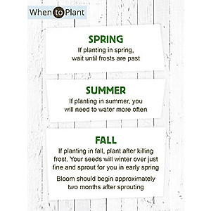 American Meadows Wildflower Seed Packets "Butterfly Garden'' Favors (Pack of 20) - Pollinator Wildflower Seed Mix to Attract Hummingbirds, Bees, and Butterflies, Party Favors for Any Occasion