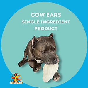 Brazilian Pet 100% Natural - Over 5 inches- Real Cow Ears Prime Dog Chews, Free Range Grass Fed Cattle (100 Count)