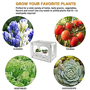 Ldmhlho Led Herb Garden Light Kit for Christmas Gift, Full Spectrum Grow Light with Timer and Dimmer for Succulents, Vegetables, Potted Plants with DC 12V Safety Output