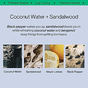OffCourt - Natural Deodorant Body Spray for Men and Women - Aluminum Free - Whole Body Deodorant for Women and Men - Bold, Long-Lasting Coconut Water and Sandalwood Scent, 3.4 Ounce (Pack of 1)