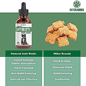 Natural Antibiotics for Dogs | Dog Antibiotics | Supports Dog Allergy Relief | Dog Itch Relief | Dog Allergy Support | Dog Multivitamin | Pet Antibiotics | Dog Antibiotic | 2 Pack: 60 Servings Total