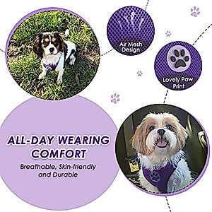 Lukovee Dog Safety Vest Harness with Seatbelt, Dog Car Harness Seat Belt Adjustable Pet Harnesses Double Breathable Mesh Fabric with Car Vehicle Connector Strap for Dog (Medium, Purple)