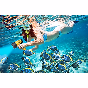 STANLEY FATMAX FL5W10 Rechargeable 520 Lumen Lithium Ion Waterproof LED Spotlight Flashlight