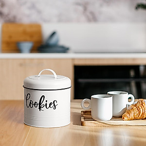 DAYYET Farmhouse Cookie Jar for Kitchen Counter, 1 Gallon Vintage Cookie Jar with Airtight Lid, Large Food Storage Container for Candy, Cookies, Dessert, Rustic Kitchen Decor and Accessories