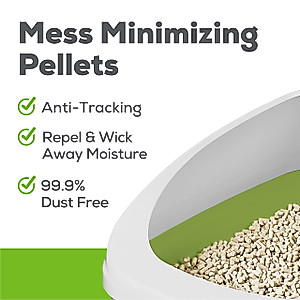 Purina Tidy Cats Non Clumping Litter System, Breeze XL All-in-One Odor Control & Easy Clean Multi Cat Box - 18 lb. Box