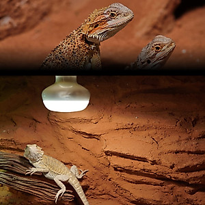 ReptiKing Basking Light for Reptiles, 1-Pack 100W Upgraded Intense Basking Spot, Reptile Basking Bulb Light, UVA Heat Lamp Bulb for Bearded Dragon