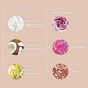 Pureology Color Fanatic Instant Deep-Conditioning Hair Mask | Restore & Strengthen | Maintain Beautiful Color | Vegan, 6.8 Fl Oz (Pack of 1)