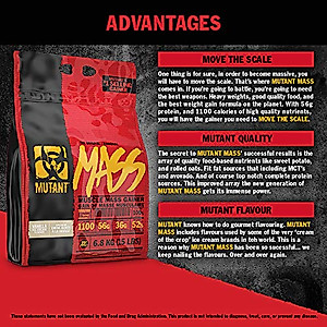 Mutant Mass | Weight Mass Gainer Protein Powder - high Calorie Protein Powder for Mass gain - Strawberry Banana - 5 Pound